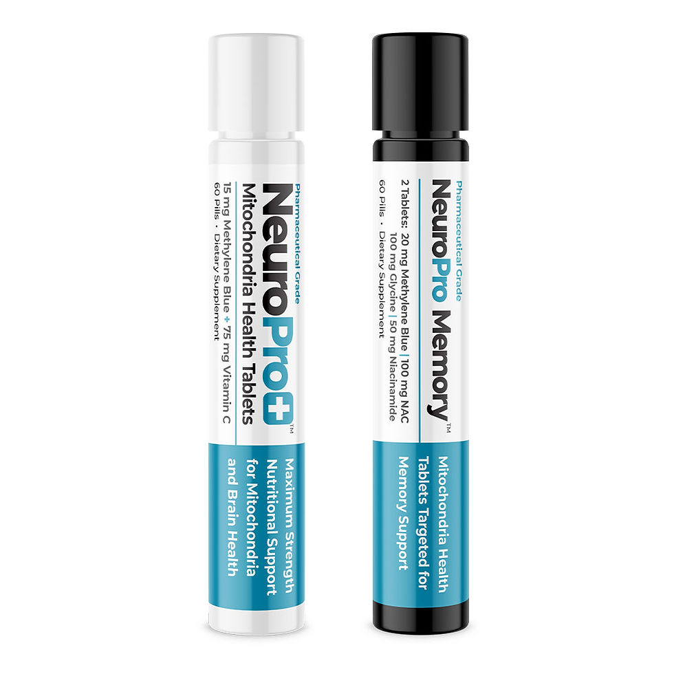 Concussion Recovery Support Pack Best 365 Labs